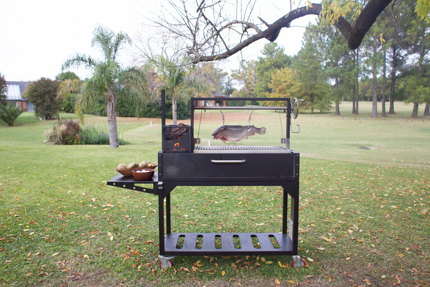 Tagwood BBQ03SI: Heavy-Duty Grill with Mobile Base